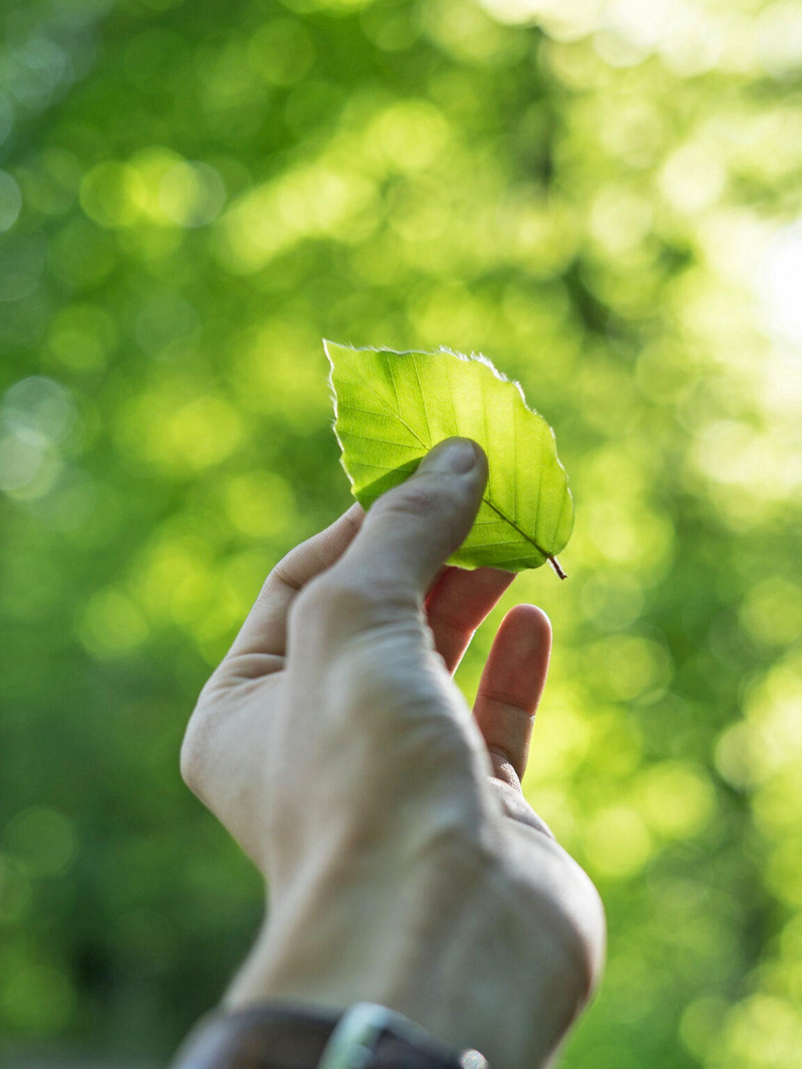 EOX | The eco-efficient and natively digital lift from TKE (UK)